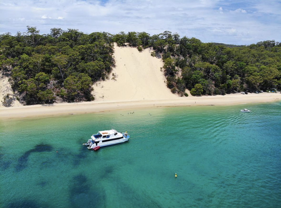 Moreton Island Eco Marine Safari Cruise and Snorkel - Dolphin Wild ...