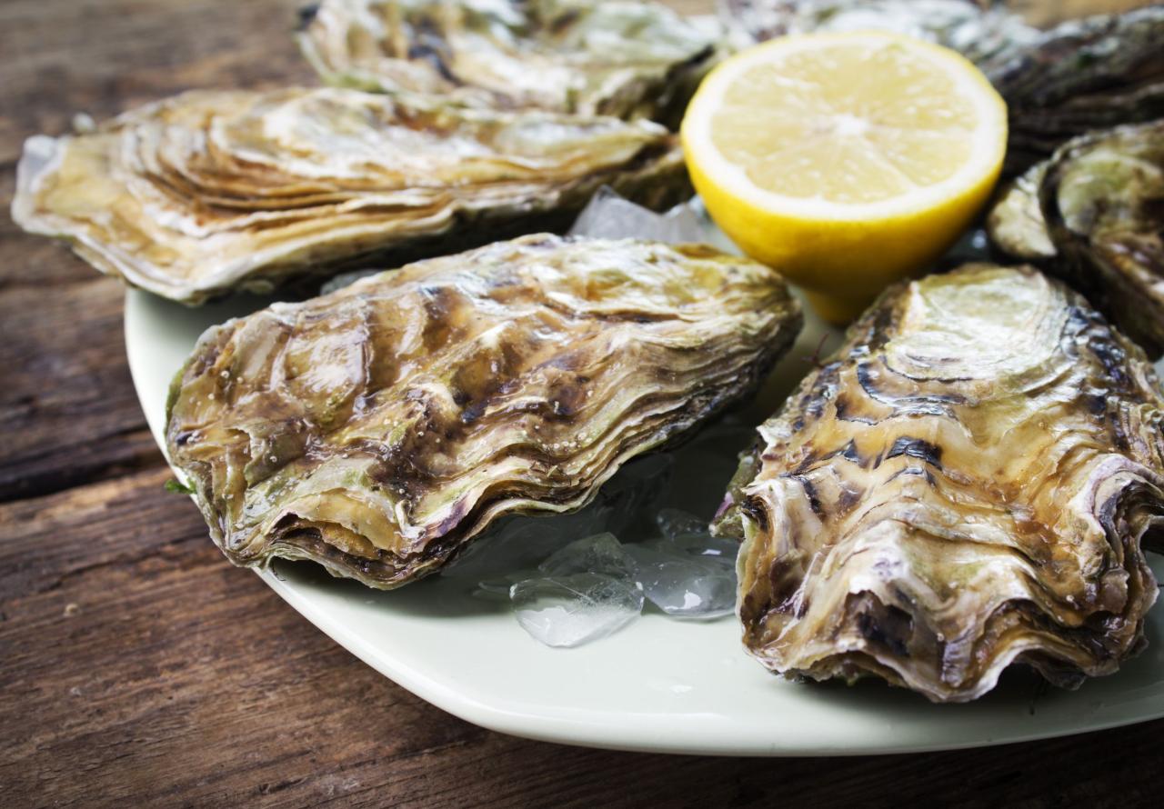 Oyster shucking class at Queen Victoria Market - Travelers Arena ...