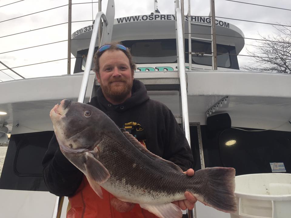 EVERY TUESDAY, WEDNESDAY, THURSDAY, FRIDAY AND SUNDAY : TOG FISHING ...