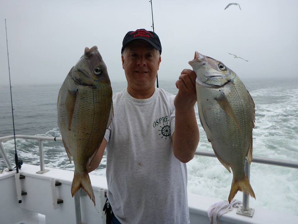 PORT JEFFERSON MONDAY - FRIDAY 9AM - 2PM PORGIES - Osprey Fishing ...