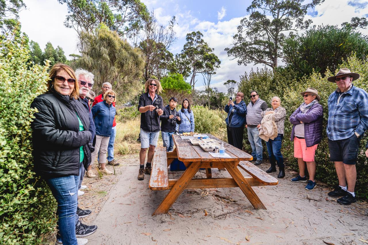 Bruny Island Food, Sightseeing and Lighthouse Tours Full Day Tour from ... Bruny Island Food, Sightseeing and Lighthouse Tours Full Day Tour from ...