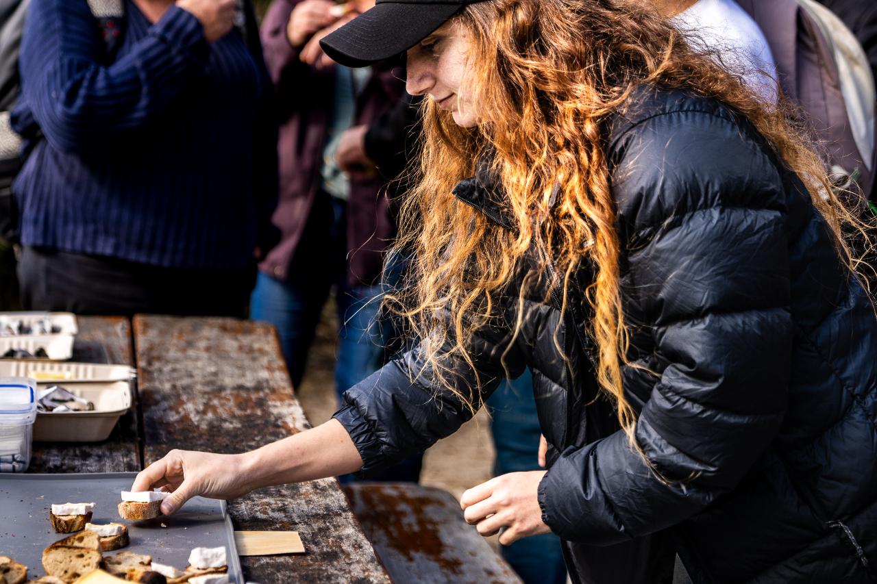 Bruny Island Food, Sightseeing and Lighthouse Tour Full Day Tour from ...
