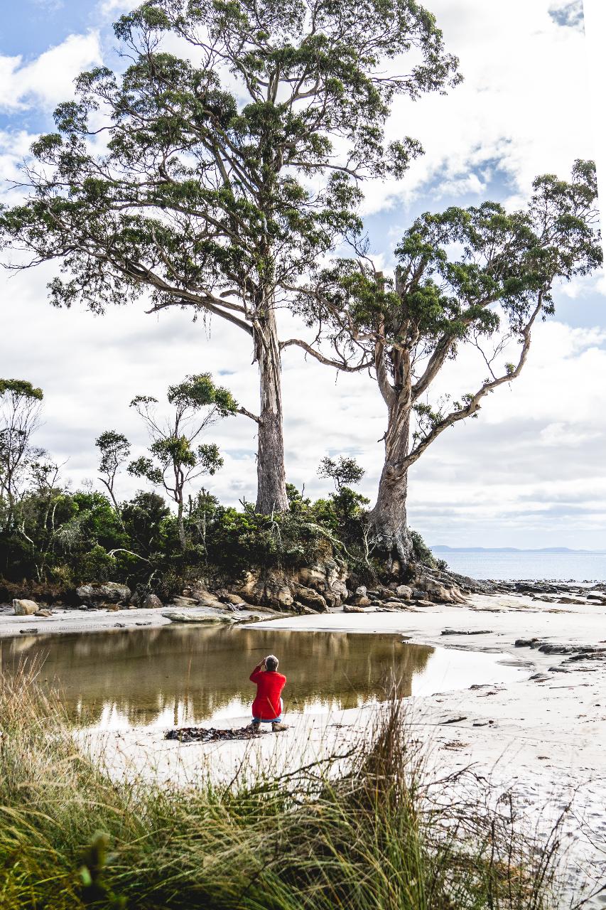 Bruny Island Food, Sightseeing and Lighthouse Tours Full Day Tour from ... Bruny Island Food, Sightseeing and Lighthouse Tours Full Day Tour from ...