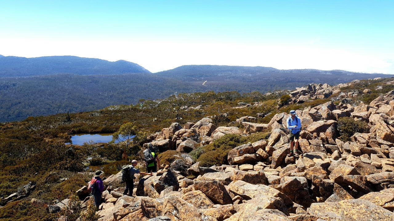 Mount Field National Park - Guided Day Tour from Hobart - See Tasmania ...