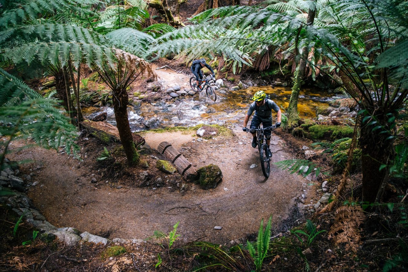 Blue Tier & Atlas Wilderness Trails - Mountain Biking Adventures Derby ...