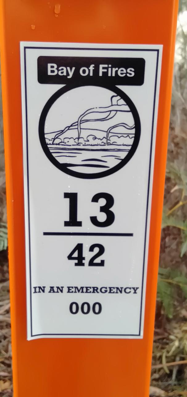 13km Descent + Blue Tier (departs Weldborough) - Mountain Biking ...