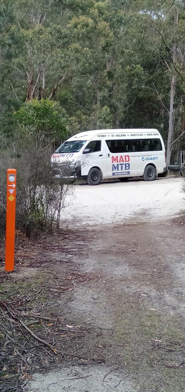 13km Descent + Blue Tier (departs Weldborough) - Mountain Biking ...