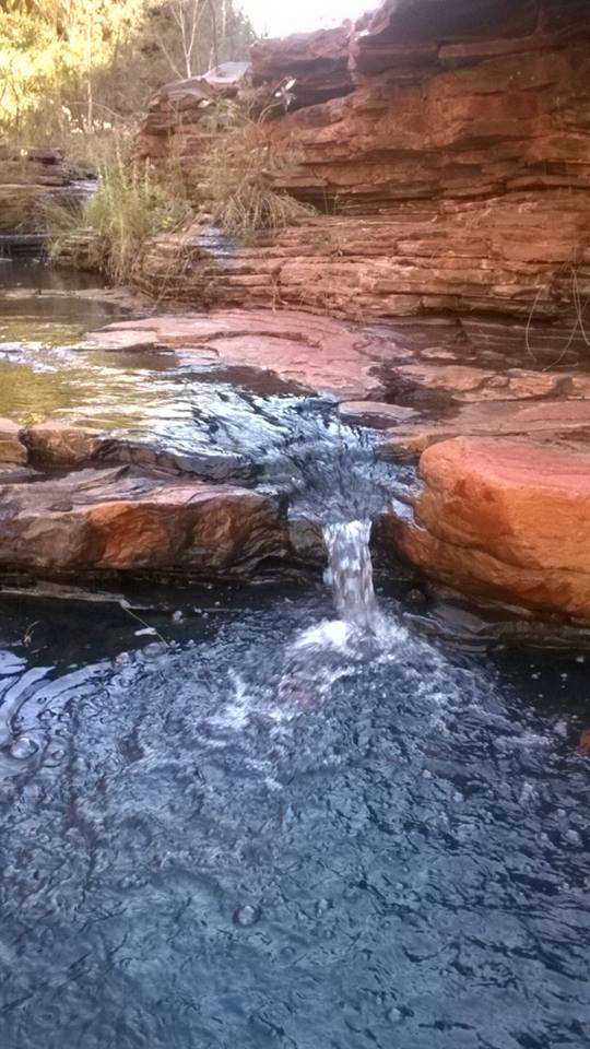 Karijini National Park - Full Day Gorge Tour - Visit Ashburton - Tom ...