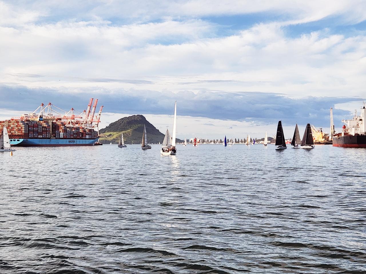 Afternoon Harbour Cruise Two Hours. - Bay Explorer Reservations