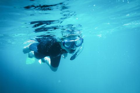 2 hour Snorkelling Safari - Kangaroo Island Ocean Safari