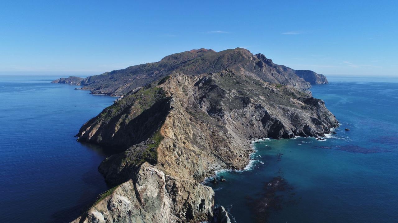 "Pacific Offshore Expeditions" All Day Whale Watch - Newport Coastal ...