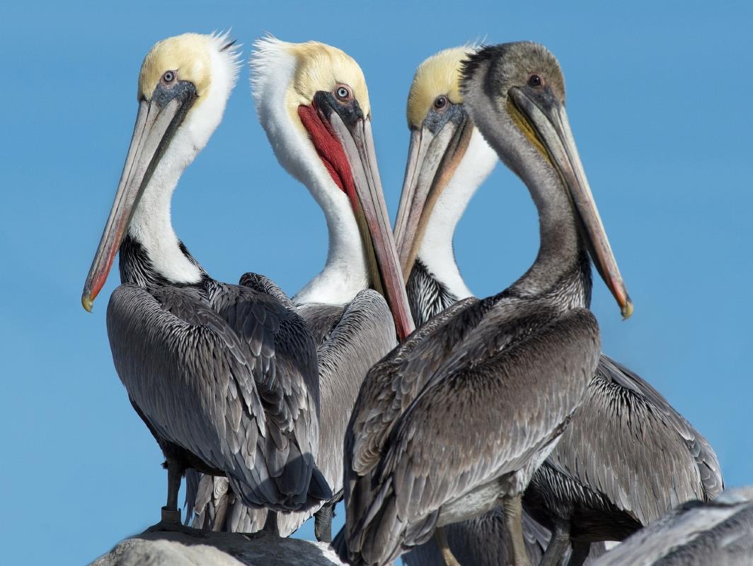 Grand Turk Private Natural Wildlife Photo Adventure Tour - Mama Dea ...