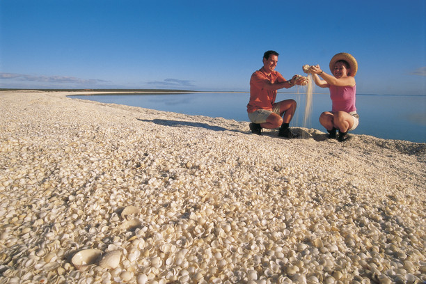 Ningaloo Reef, Monkey Mia, Exmouth 7-Day Tour - Luxury Outback Tours ...