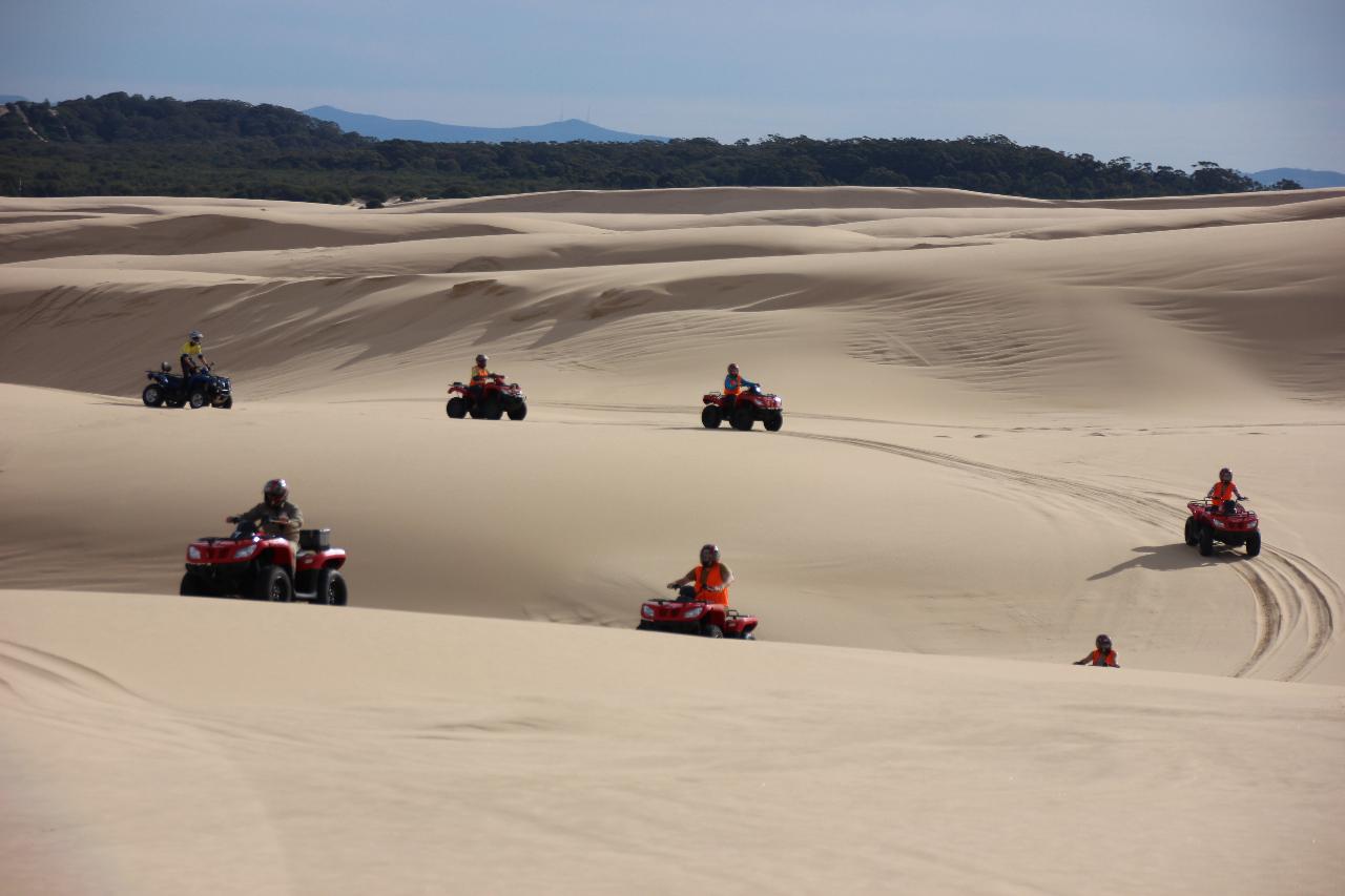 1 Hour Quad Bike Adventure Tour - Sand Dune Adventures Reservations