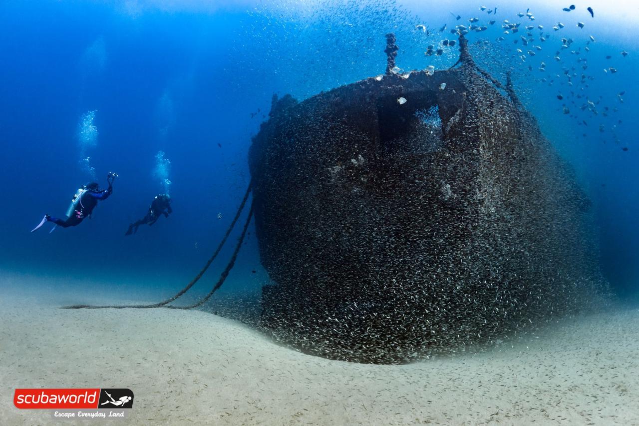Single SUNRISE Dive: ex-HMAS Brisbane - Scuba World Reservations