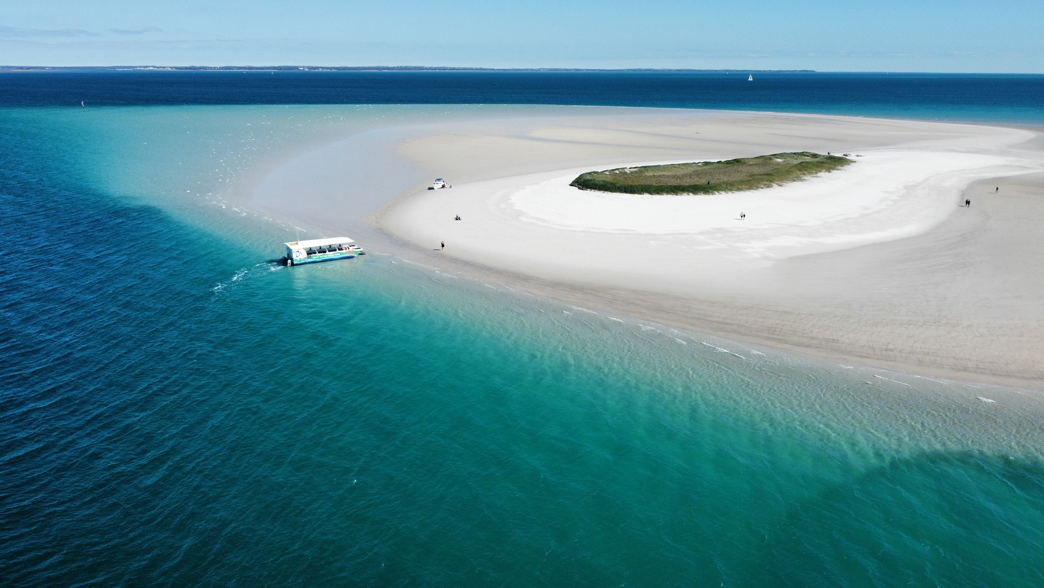 Pelican Bank Tour