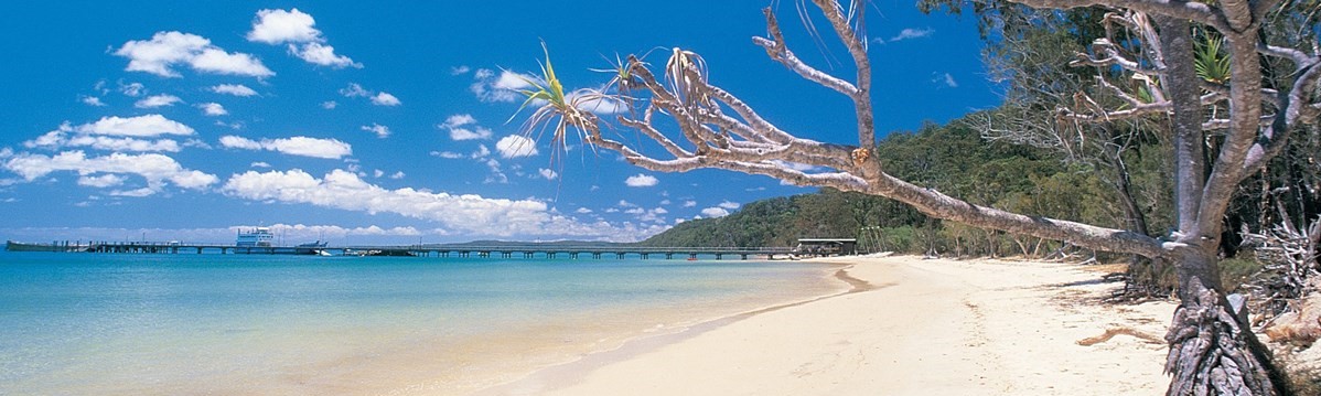 Kingfisher Bay Resort, Fraser Island - Day Visit - Spirit Of Hervey Bay ...