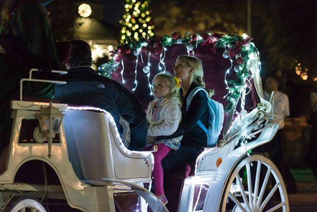 Raber Carriage (Seats 4 Adults) Windcrest - Carriage Booking Reservations