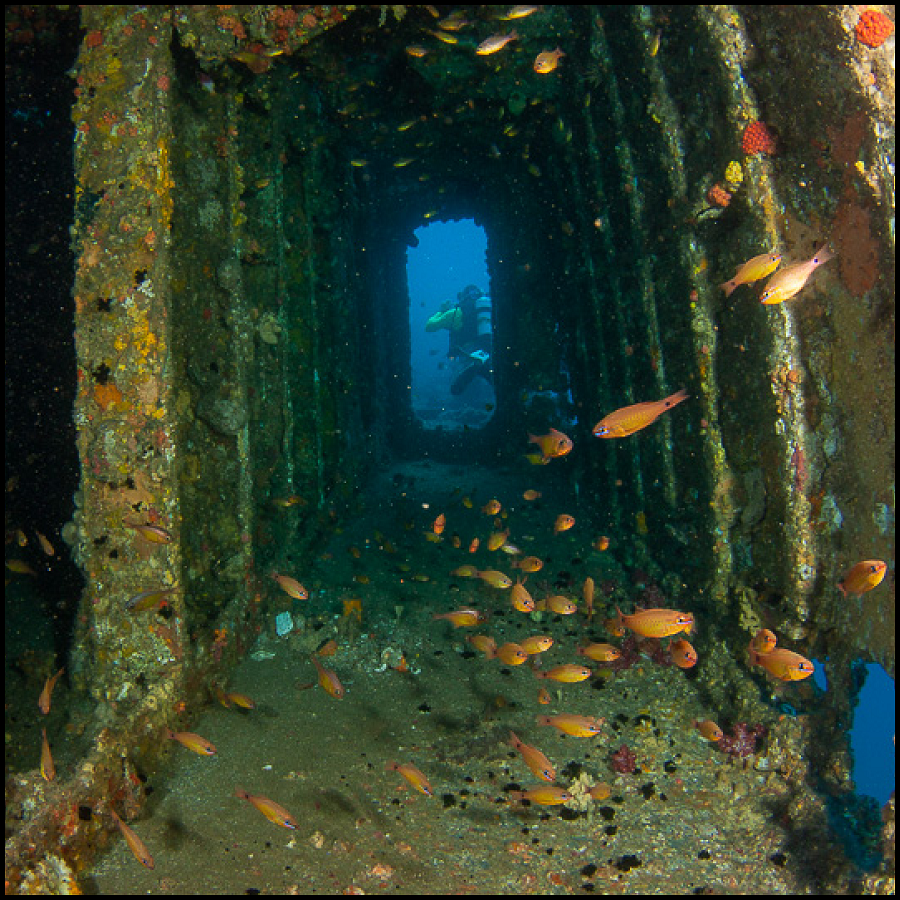 Ex-HMAS Brisbane Double Dive - Sunreef, Immerse Yourself Reservations