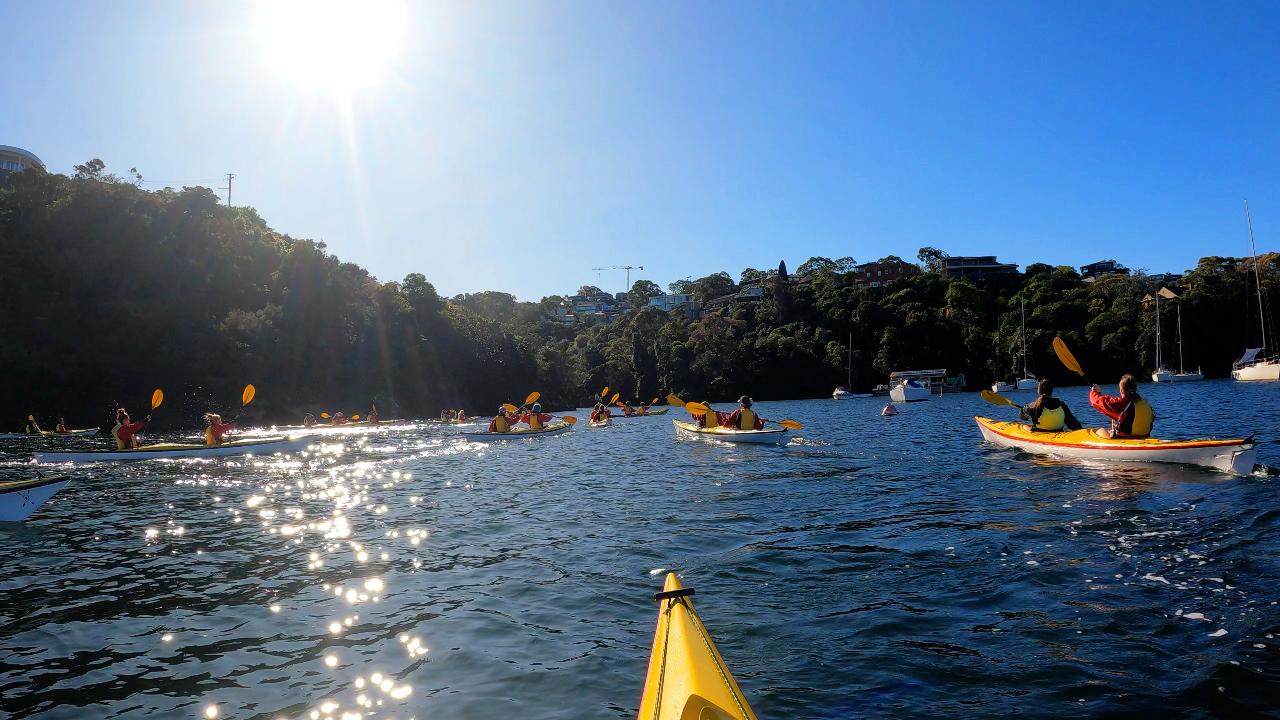 Kayaking Coffee Tour - Sydney Harbour Kayaks Reservations