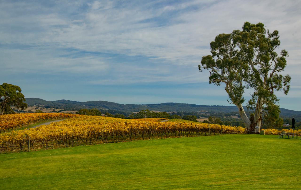 Adelaide Hills & Hahndorf Hideaway - Small Group Tour - Turers - Australia