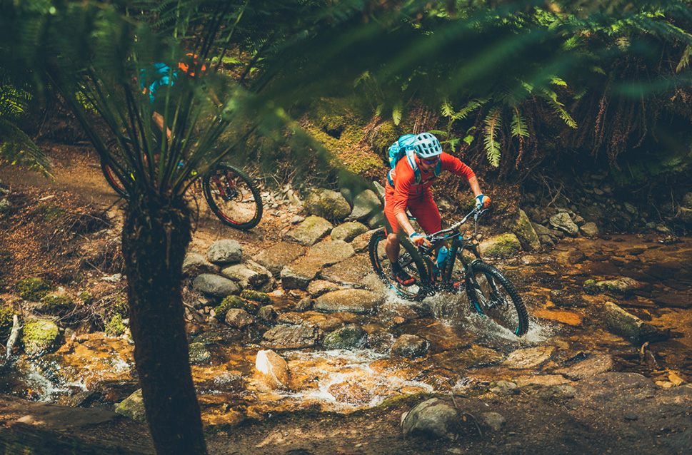 Vertigo Blue Tier and Atlas Shuttle Mountain Bike Trail Blue Derby Tasmania
