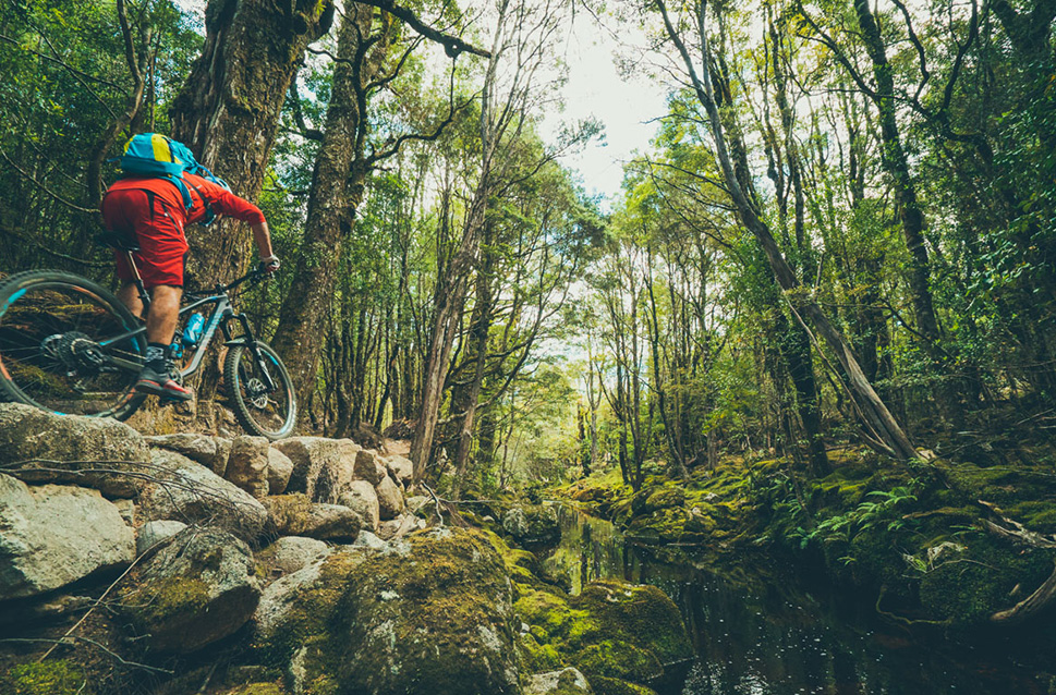Vertigo Blue Tier and Atlas Shuttle Mountain Bike Trail Blue Derby Tasmania
