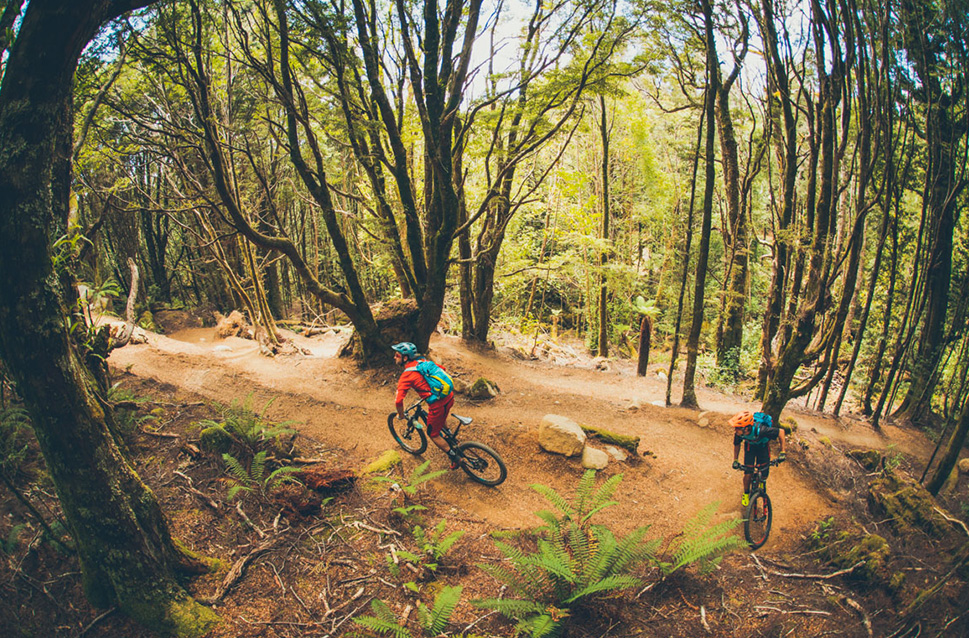 Vertigo Blue Tier and Atlas Shuttle Mountain Bike Trail Blue Derby Tasmania