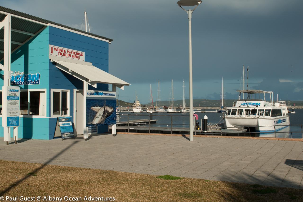 Your Ocean Adventure - Albany Ocean Adventures & Albany Whale ...