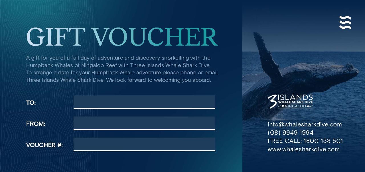 Gift Voucher - Humpback Whale Tour - Three Islands Whale Shark Dive ...