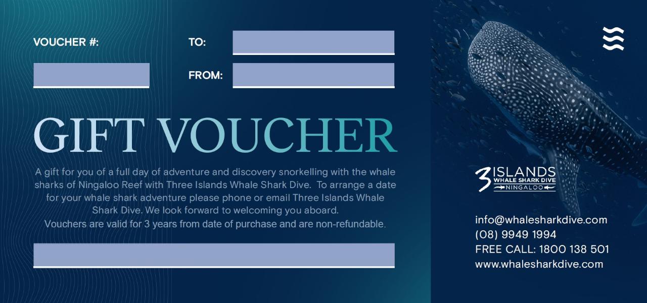 Gift Voucher - Whale Shark Tour - Three Islands Whale Shark Dive ...