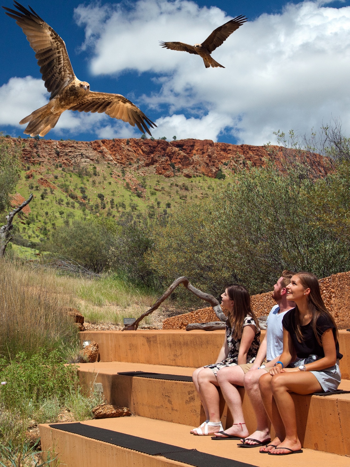 Desert Park Transfer ENTRY INCLUDED - Emu Run Experience Reservations
