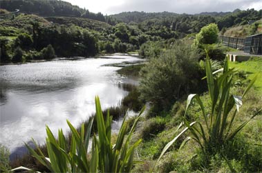 Tautari Wetlands Highlights Tour