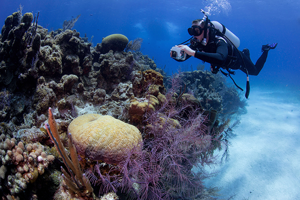 Turneffe Atoll Elbow (3 tank) - Elite Adventures Belize Reservations