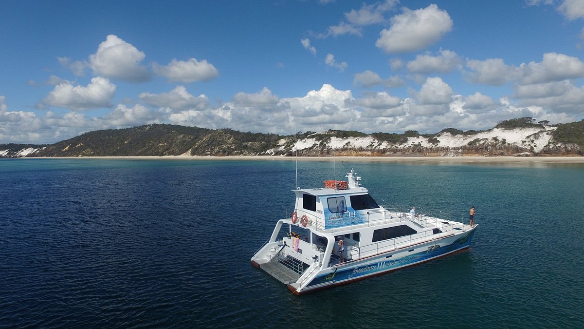 Freedom Premium 3/4 Day Whale Watch Cruise - spend more time with the ...