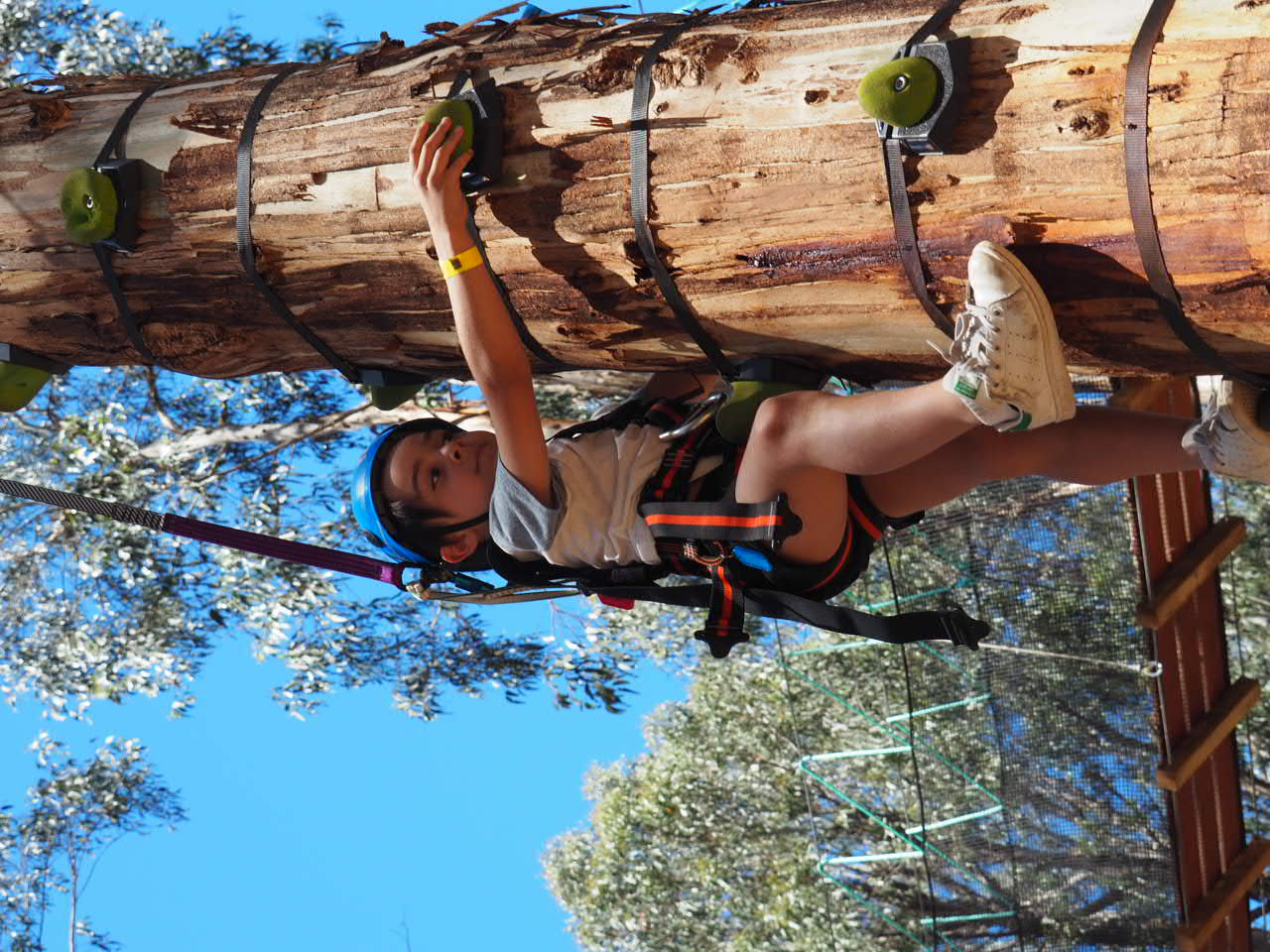 Party Treetop Adventures - Kinglake Forest Adventures Reservations