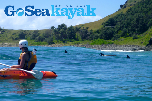 Go Sea Kayak Byron Bay - Dolphin Sea Kayak Tour