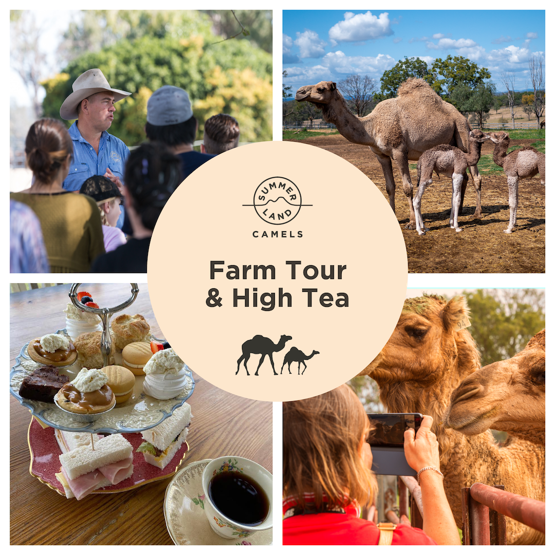 Mother's Day High Tea and Tour