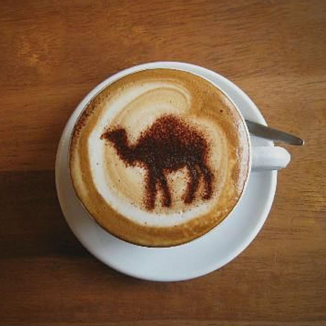 Eat Local Week - Sunrise Camel Dairy Tour & Breakfast