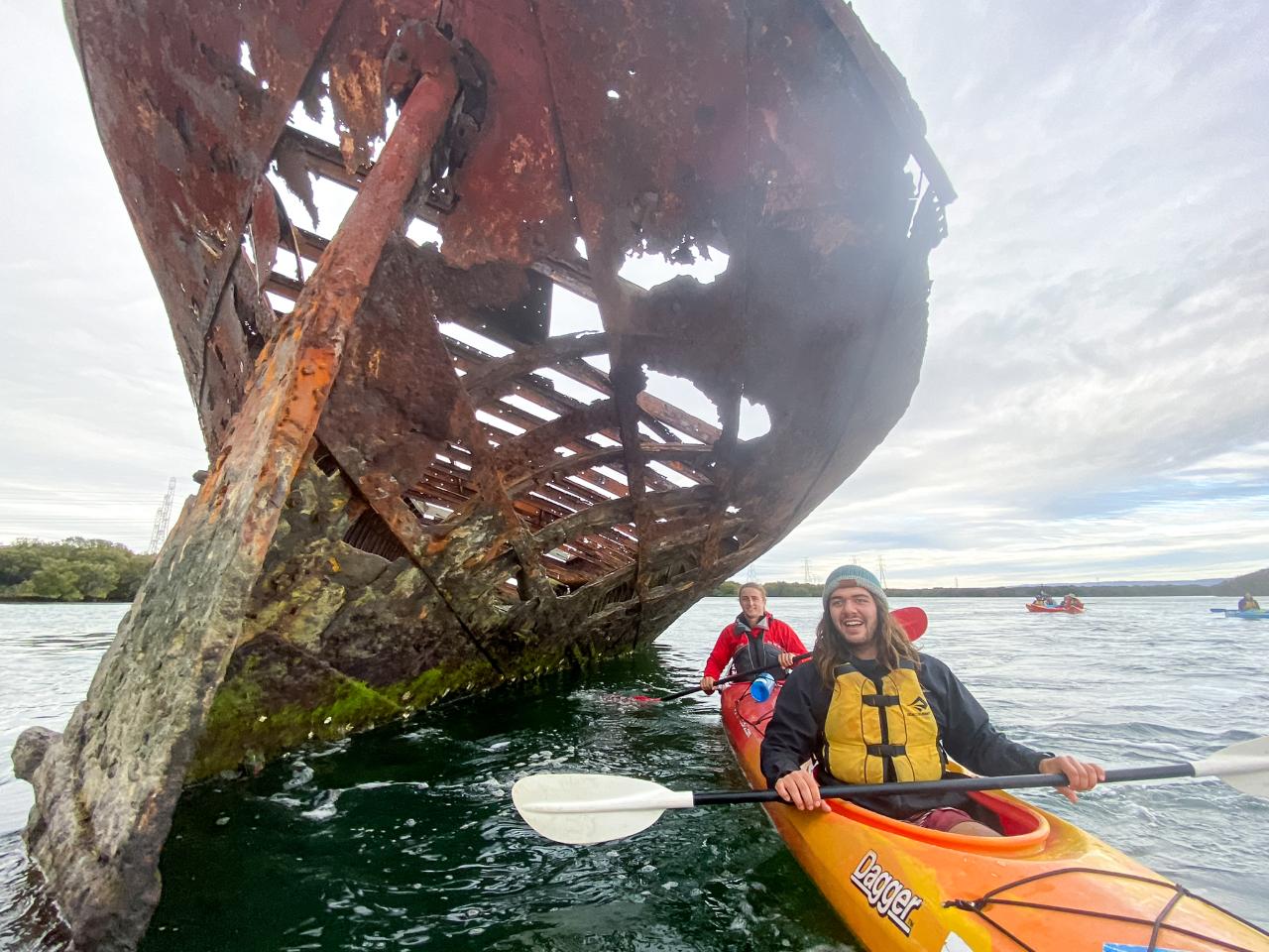 Dolphin Sanctuary & Ships Graveyard Kayak Tour (up to 3 hours ...