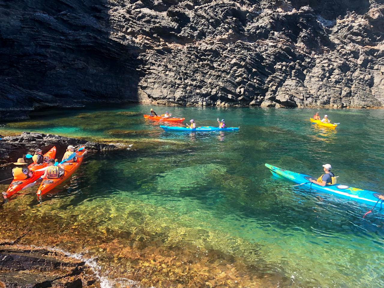 Rapid Bay Sea Kayaking Tour (up to 6 hours) - Adventure Kayaking SA ...