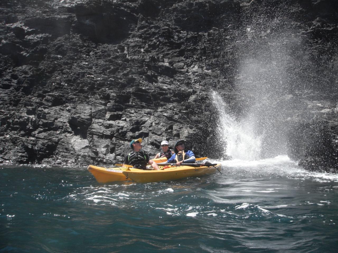 Rapid Bay Sea Caves Tour - Adventure Kayaking SA Reservations