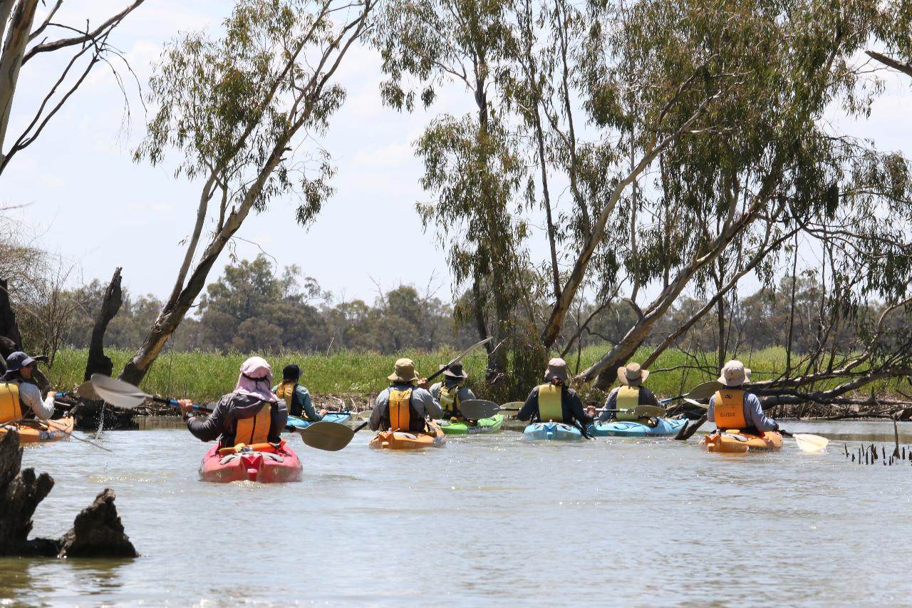 Banrock - Guided Kayaking Tour - Banrock Station Wine and Wetland ...