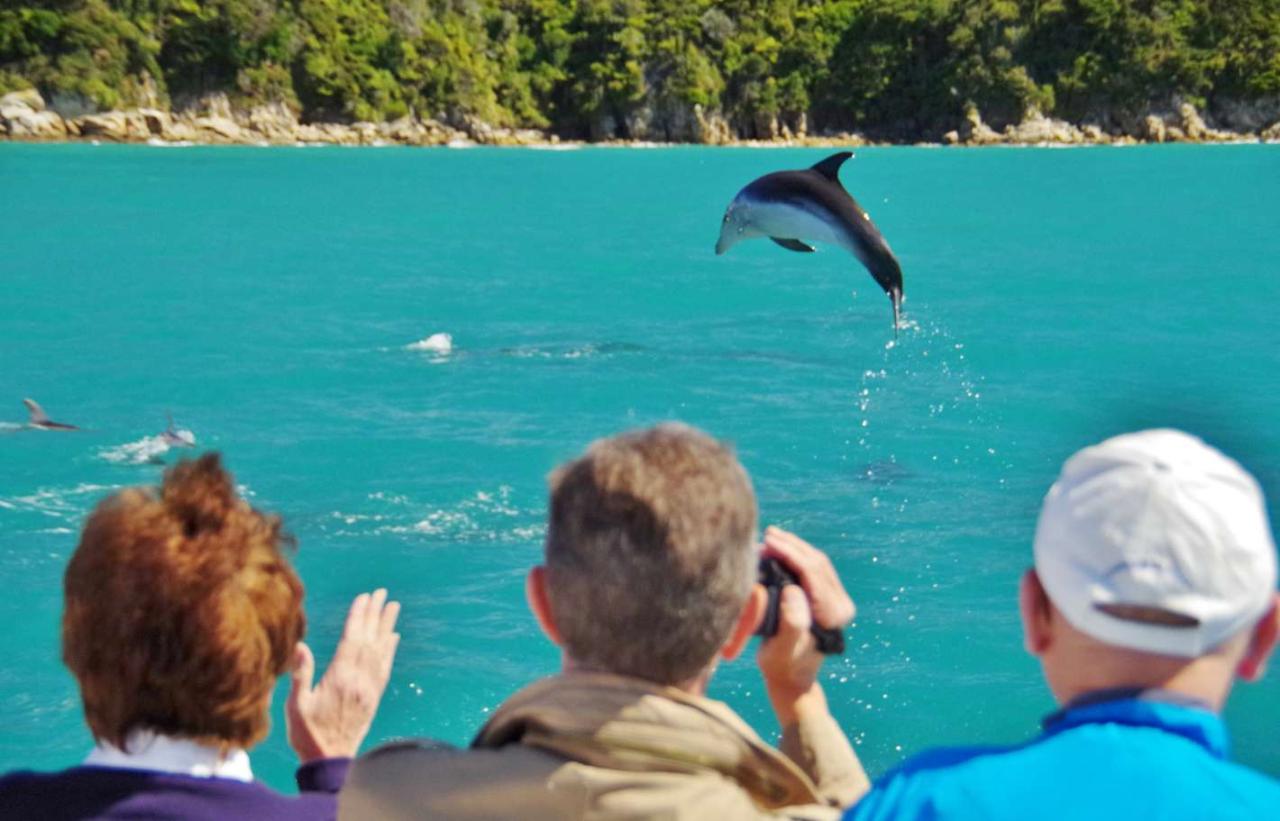 Discoverer Day Option A: Astrolabe Beaches and Bays - Abel Tasman Sea ...