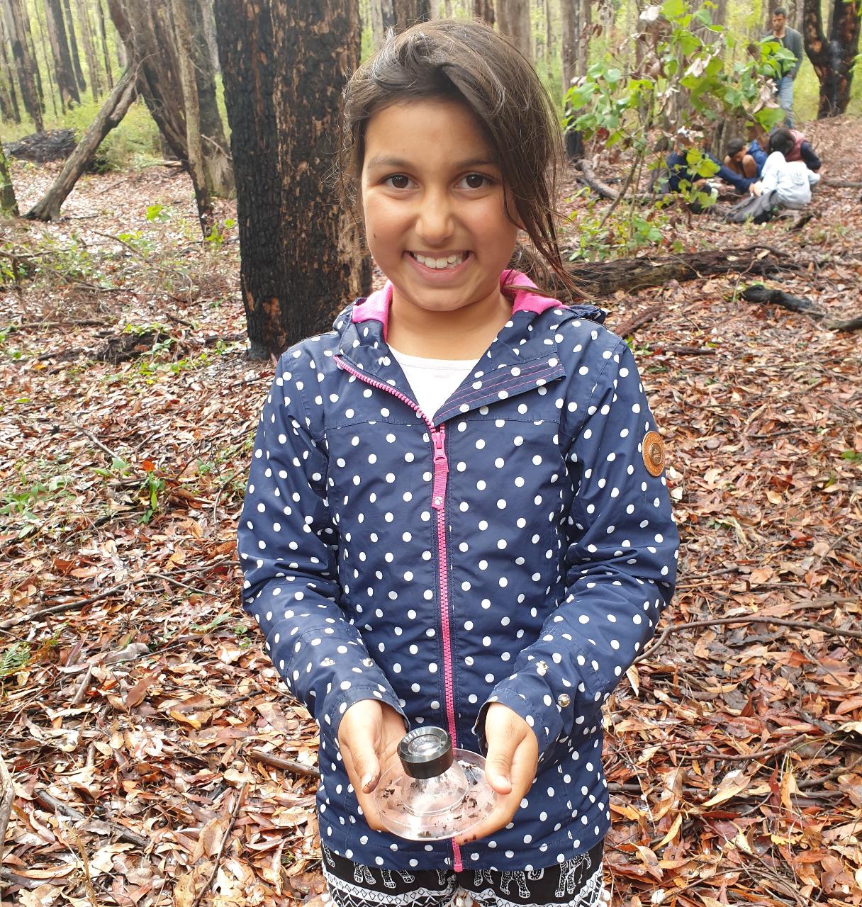 Creepy Crawlies @ Wellington Discovery Forest - Parks and Wildlife ...