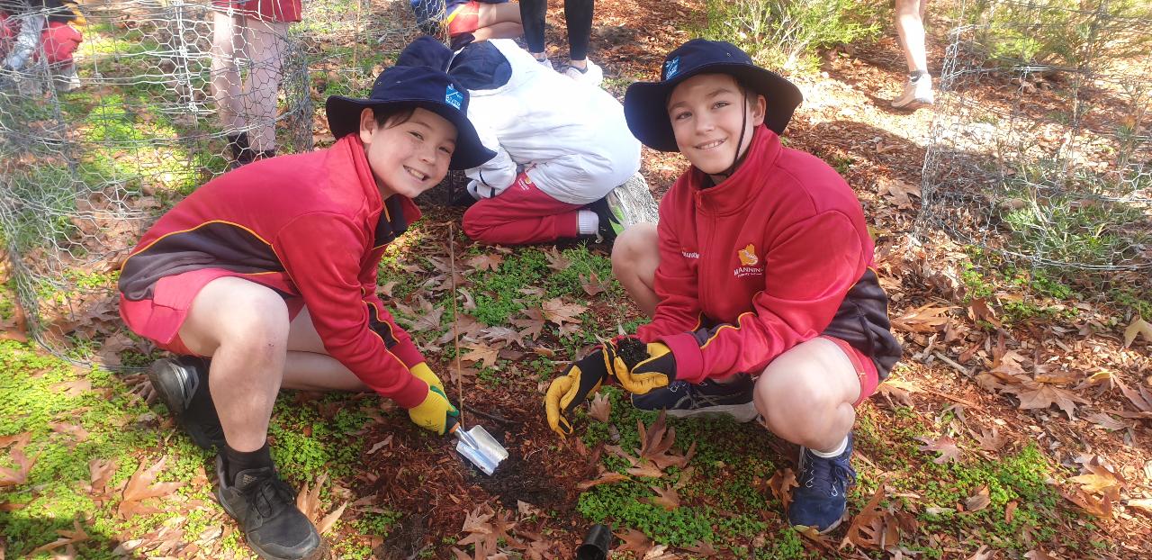 Excursion Conservation Project - Perth Hills Discovery Centre Beelu ...