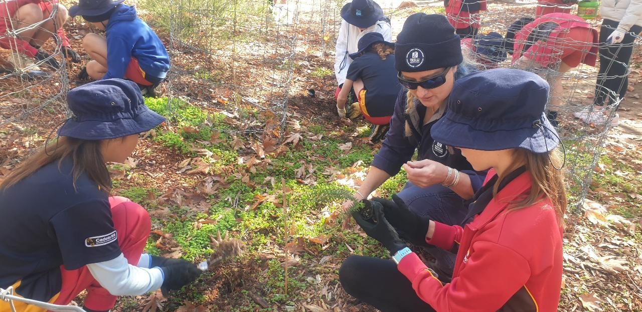 Excursion Conservation Project - Perth Hills Discovery Centre Beelu ...