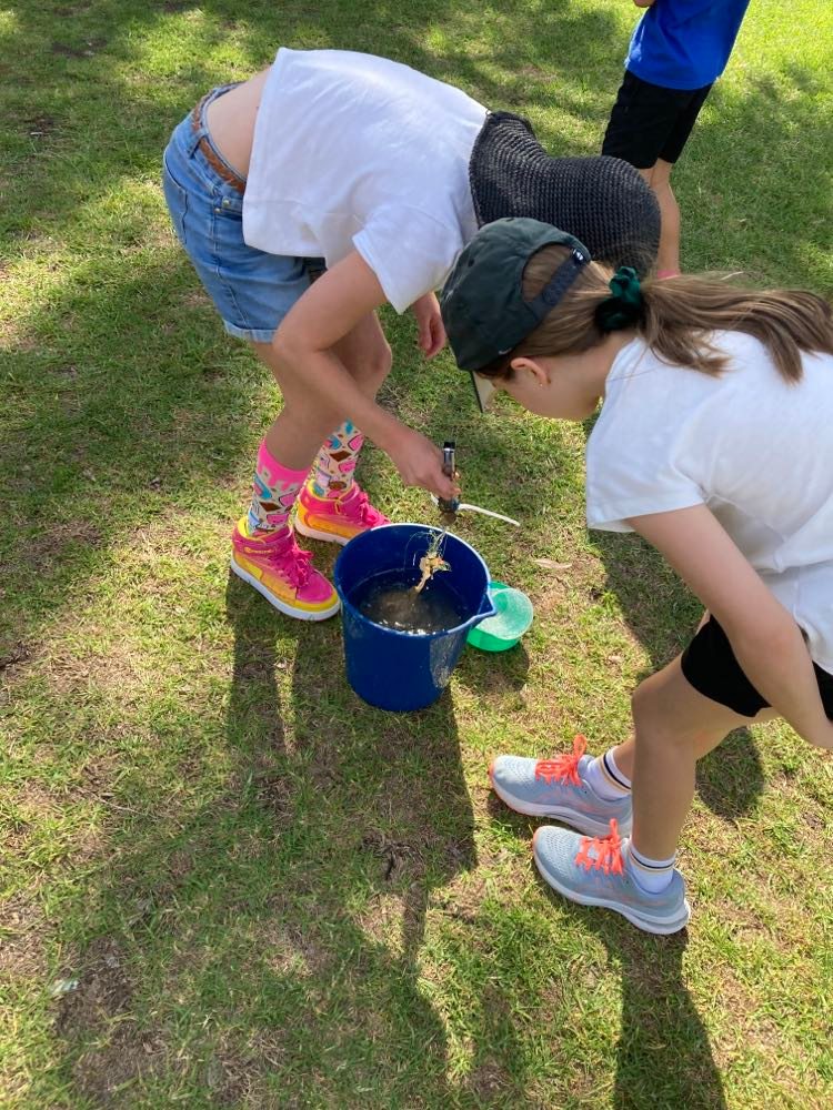 Dolphin Defenders - Parks and Wildlife Service WA Reservations