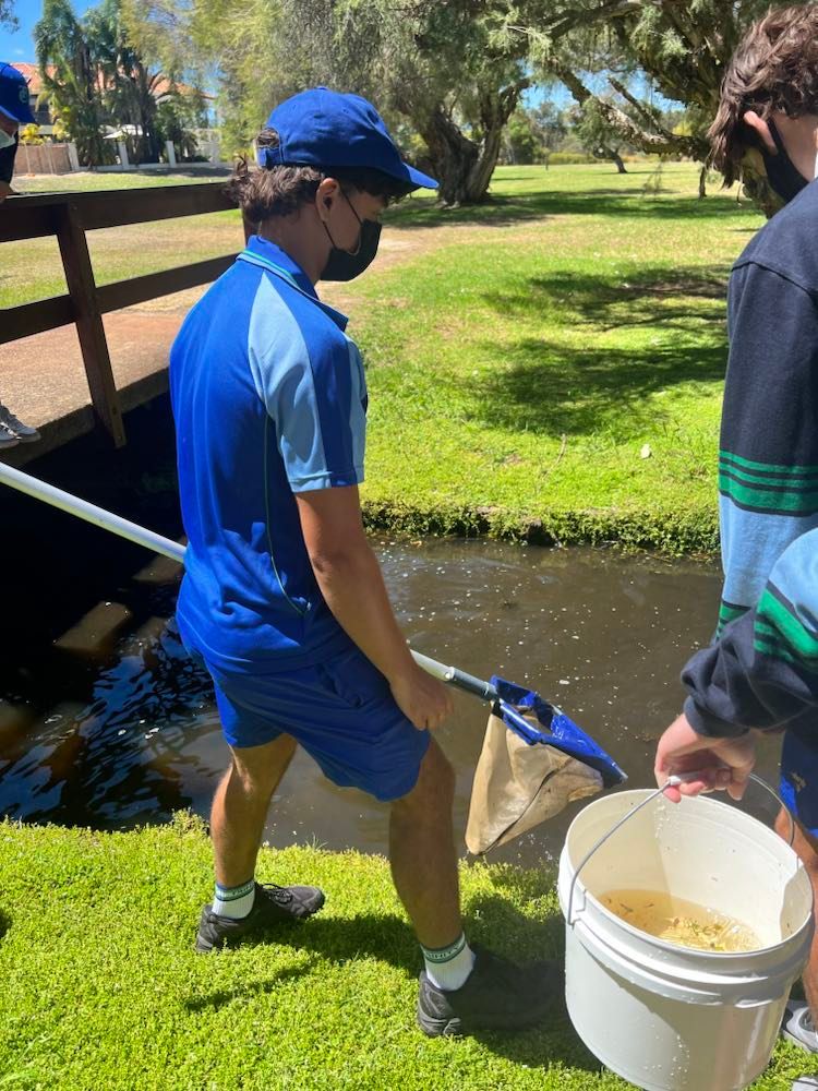 Drains to Living Streams Excursion - Parks and Wildlife Service WA ...