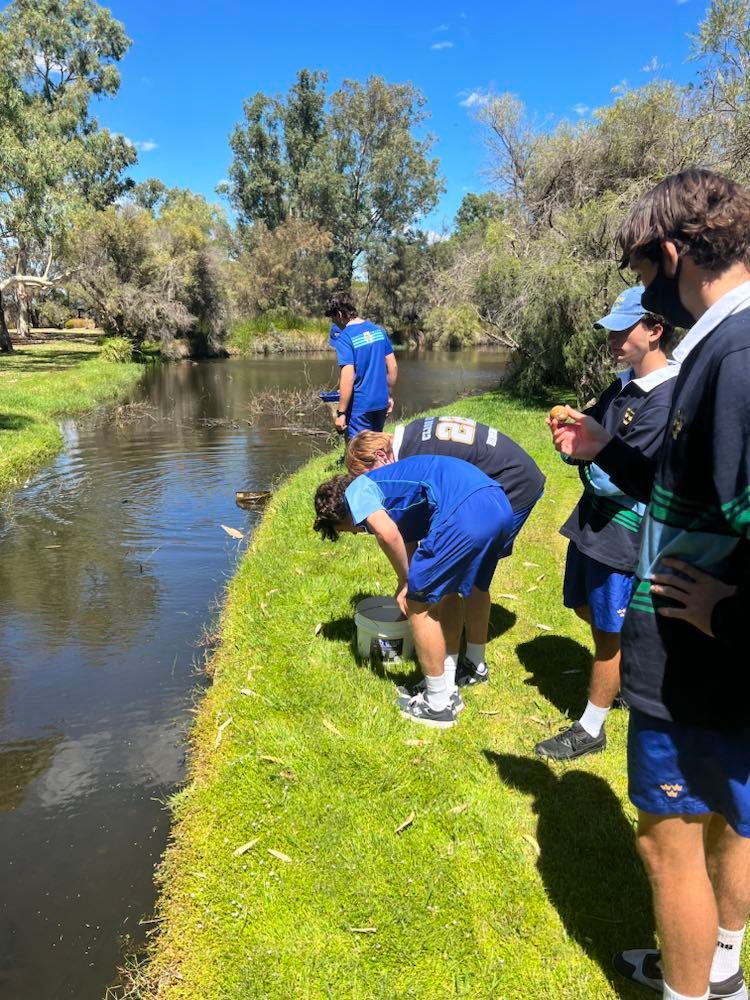 Drains to Living Streams Excursion - Parks and Wildlife Service WA ...